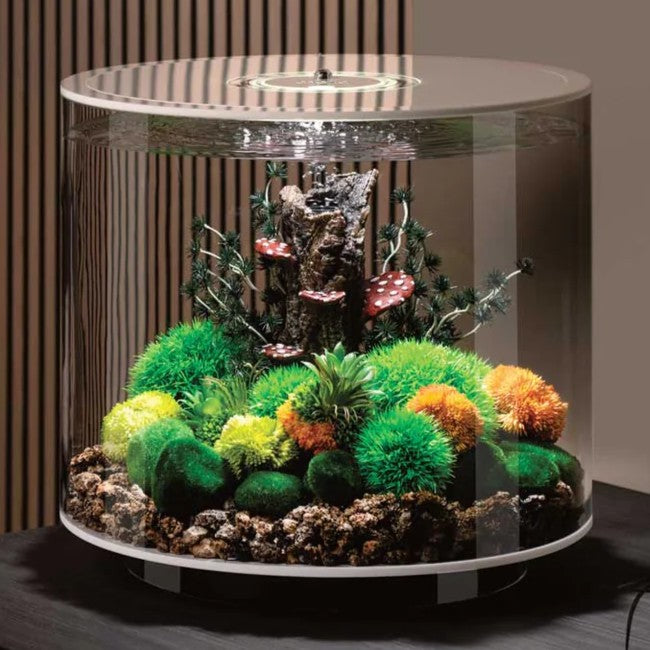 TUBE 35 - Whimsical Wonder – biOrb