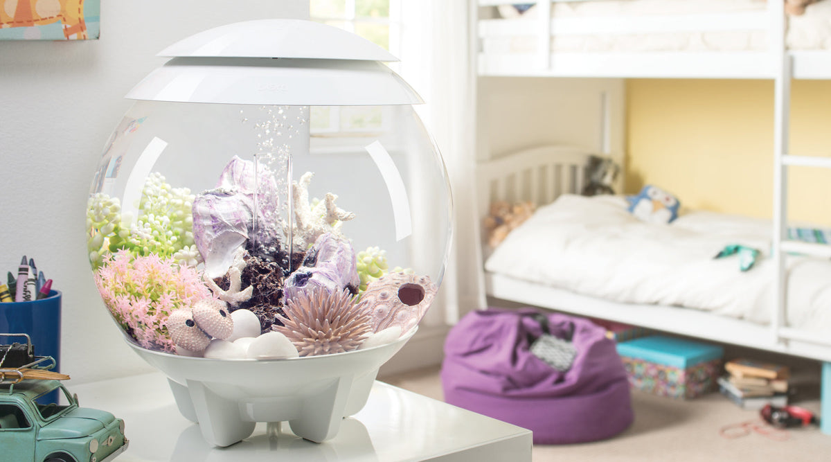 Spring Awakens: How a biOrb Brings the Season to Life Indoors