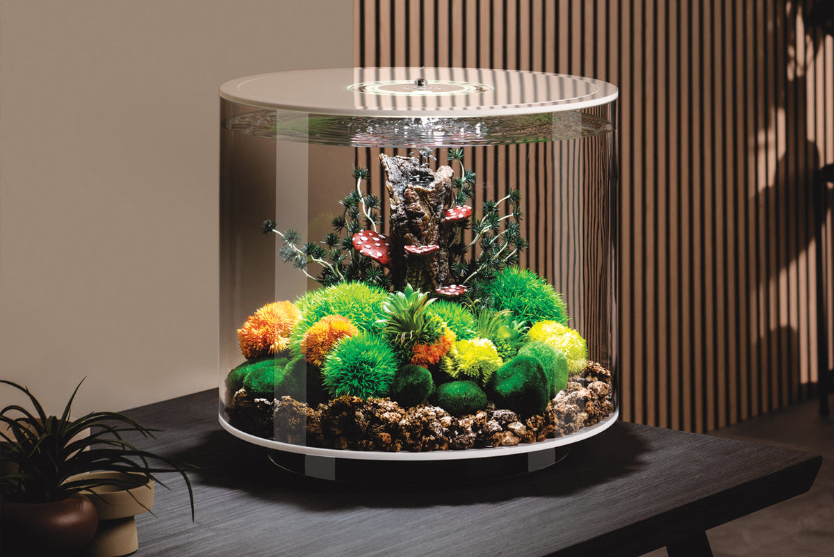 Aquarium Decorations for Your Fish Tank | biOrb US