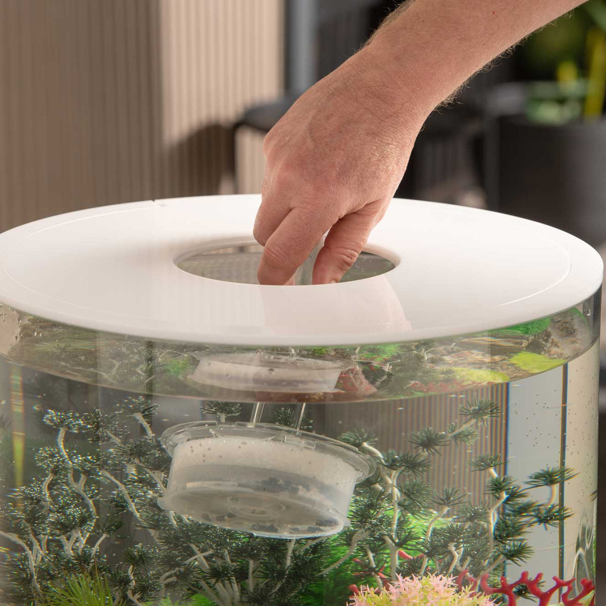Aquarium Subscribe & Save – biOrb