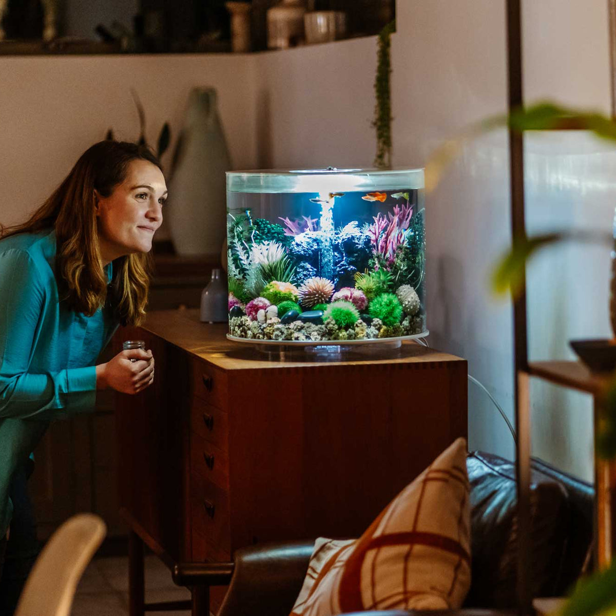 Stylish biOrb Aquariums and Accessories for Your Home | biOrb US