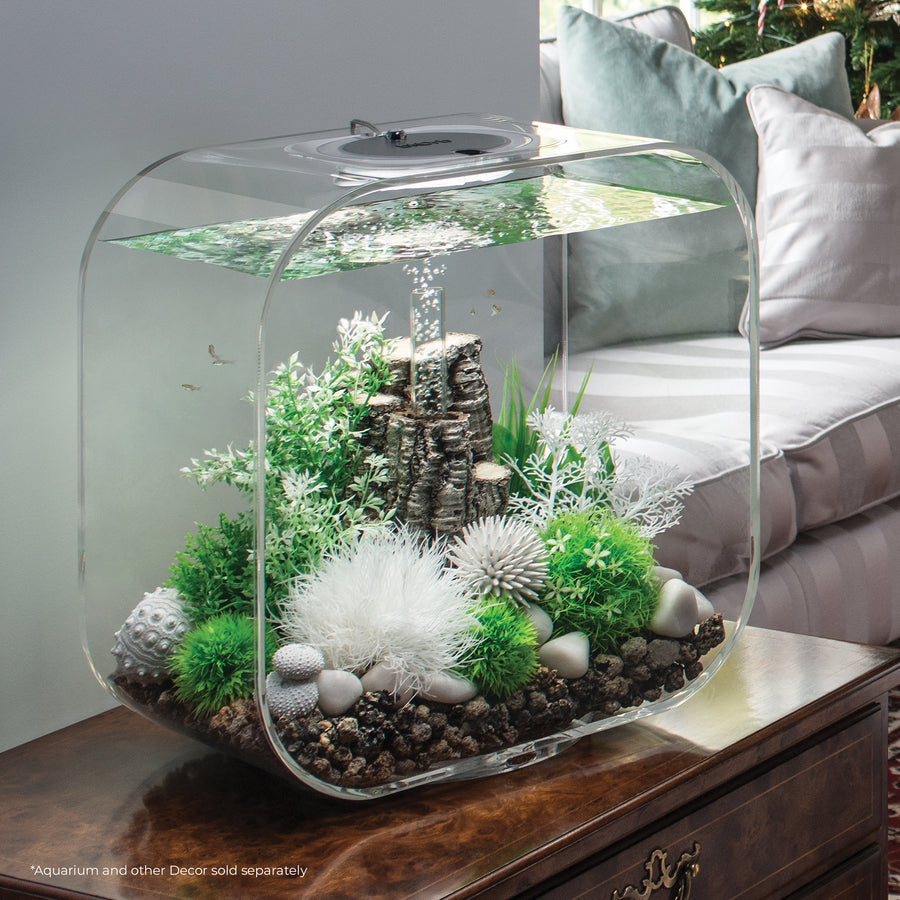 Aquarium Plants – biOrb