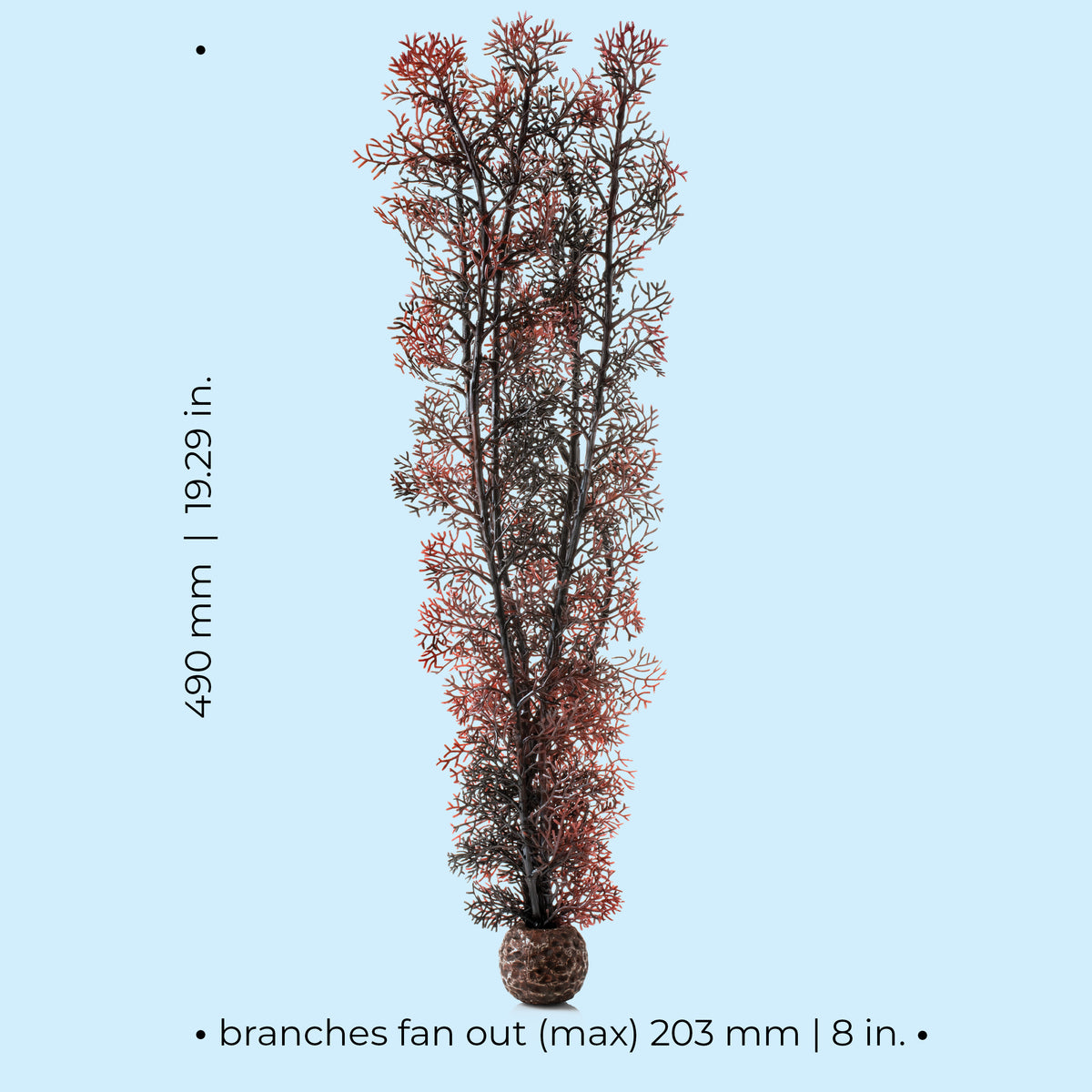 Extra Large Sea Fan – biOrb