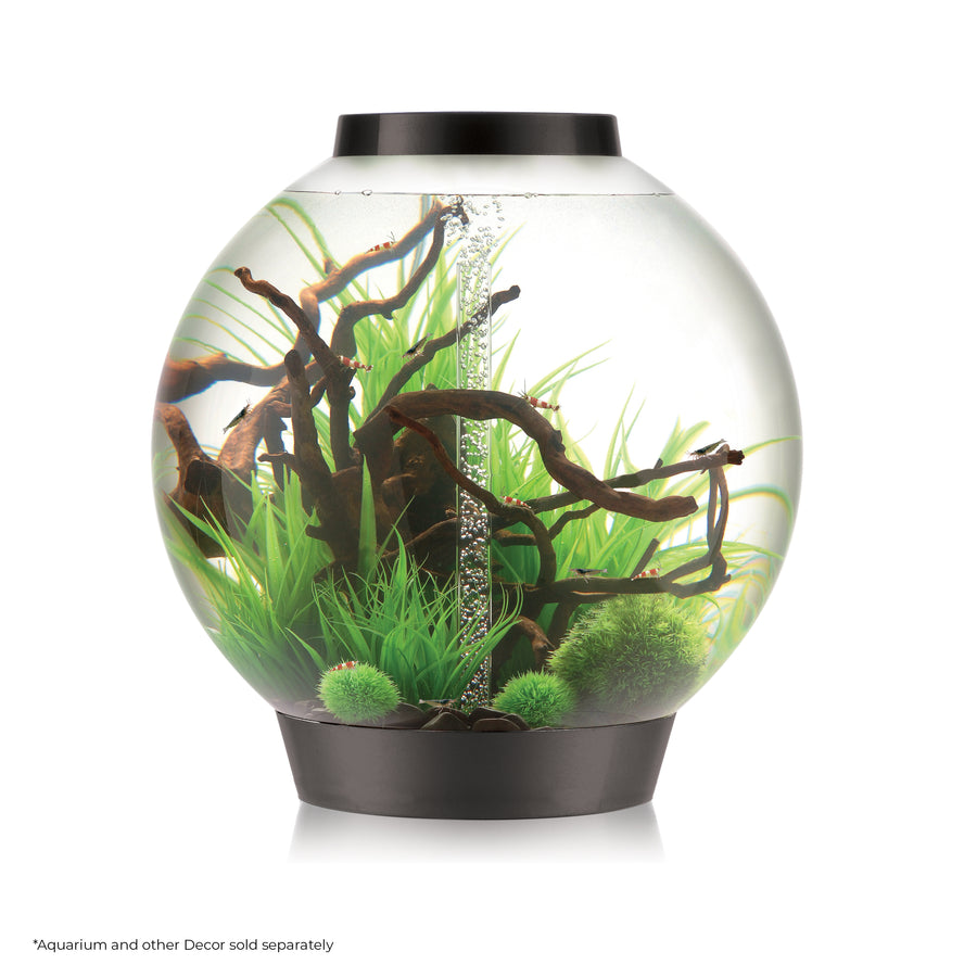 Aquarium Sculptures – biOrb