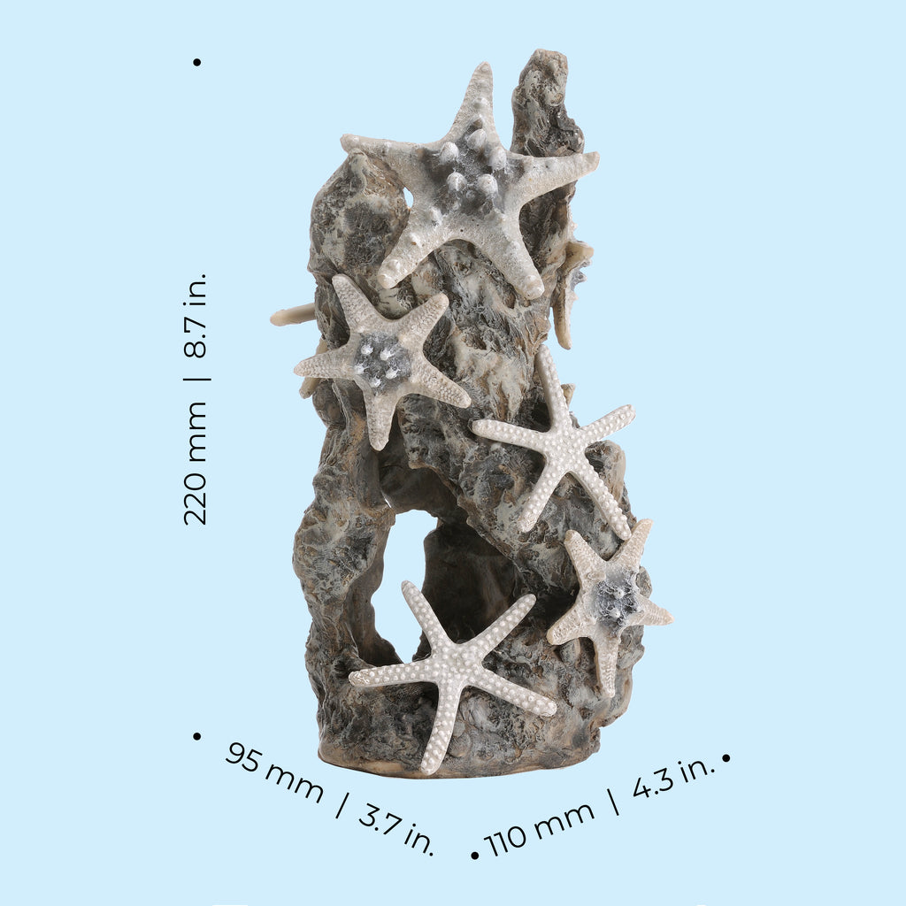 Sea Star Rock Sculpture – biOrb