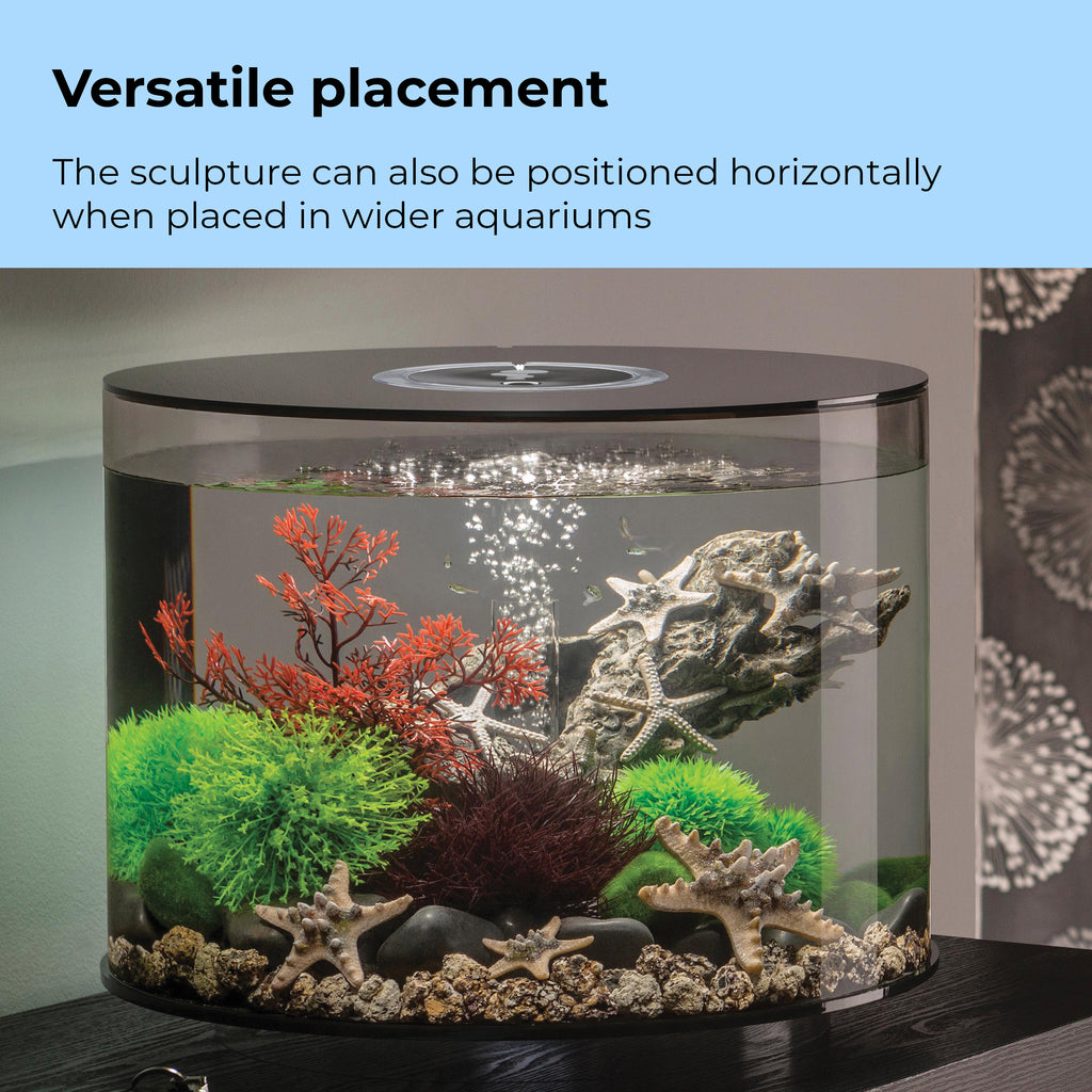 Sea Star Rock Sculpture – biOrb