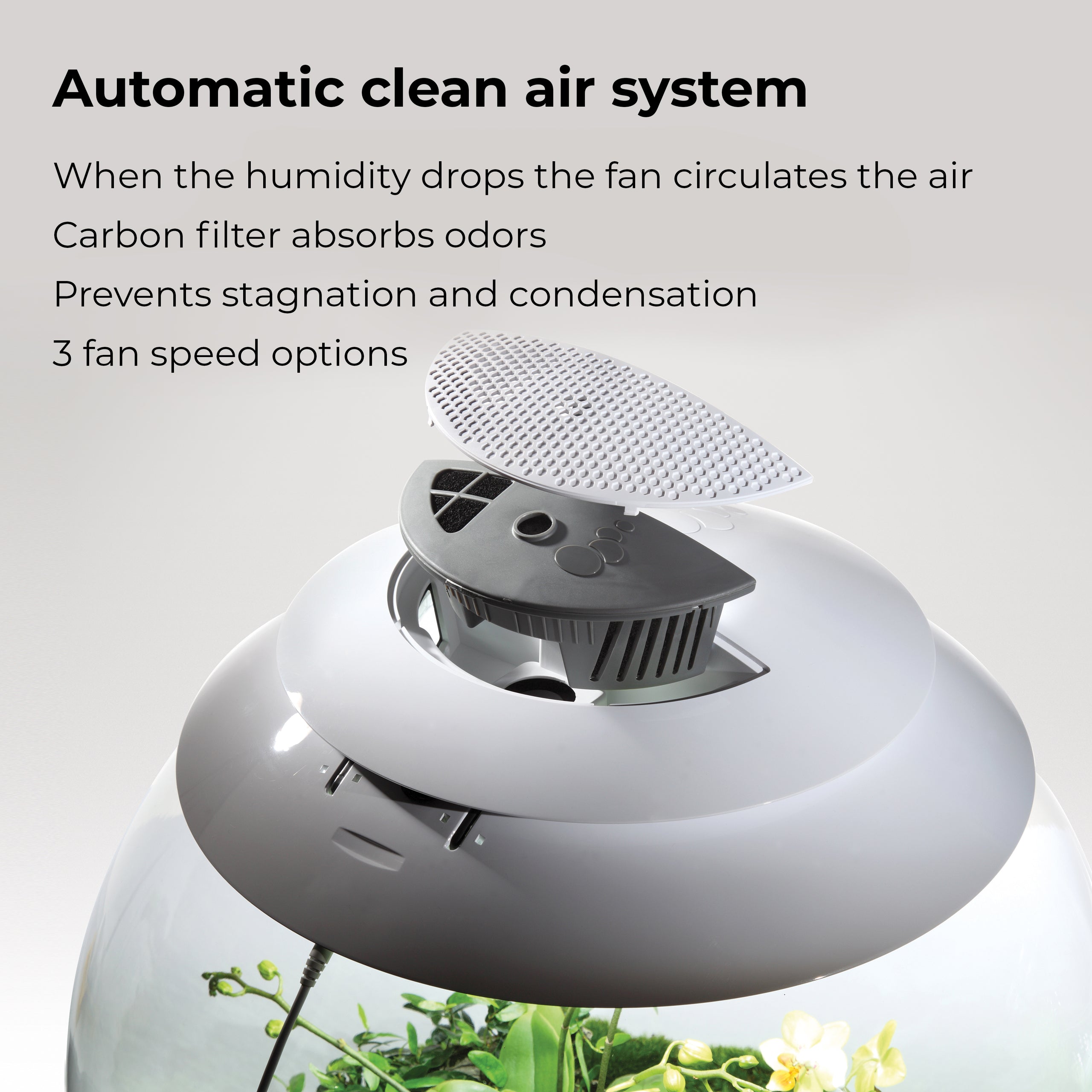 biOrb AIR 60 Terrarium: Automated Terrarium for Plants