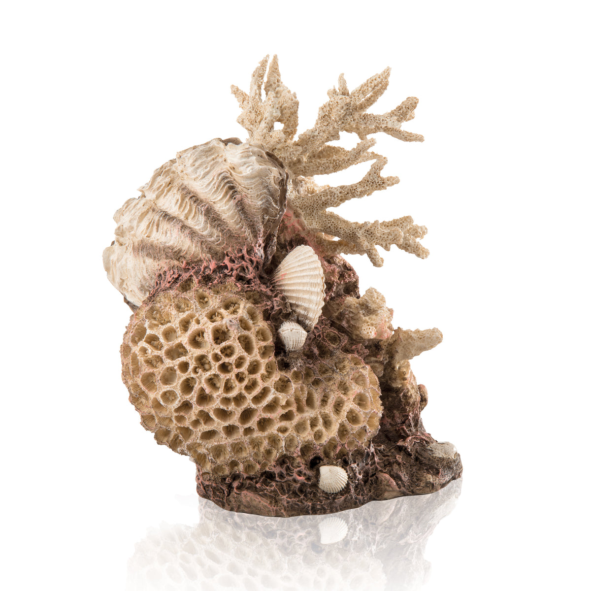 Coral with Shells Sculpture – biOrb