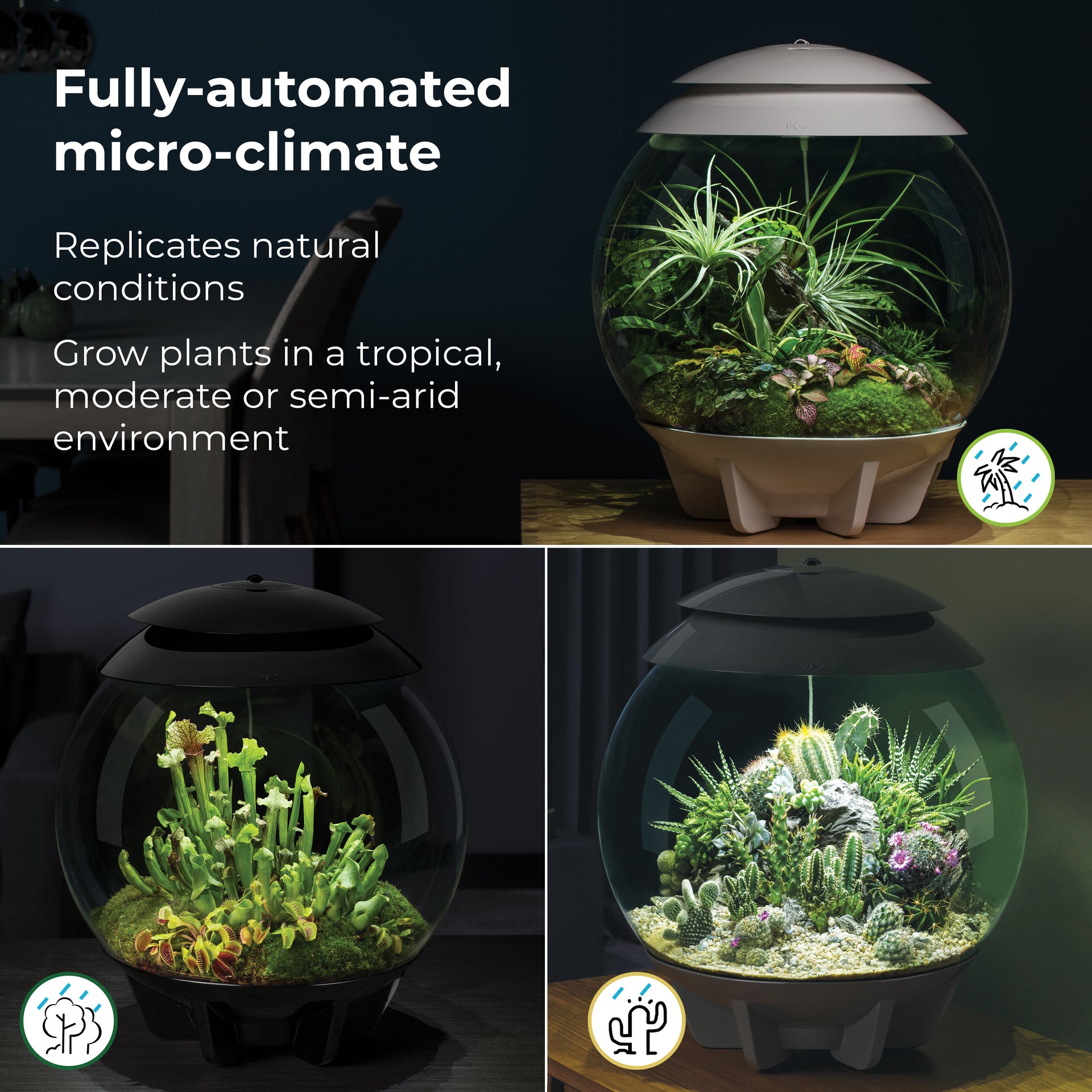 Air 30 Terrarium for Vibrant Plant Life | biOrb US