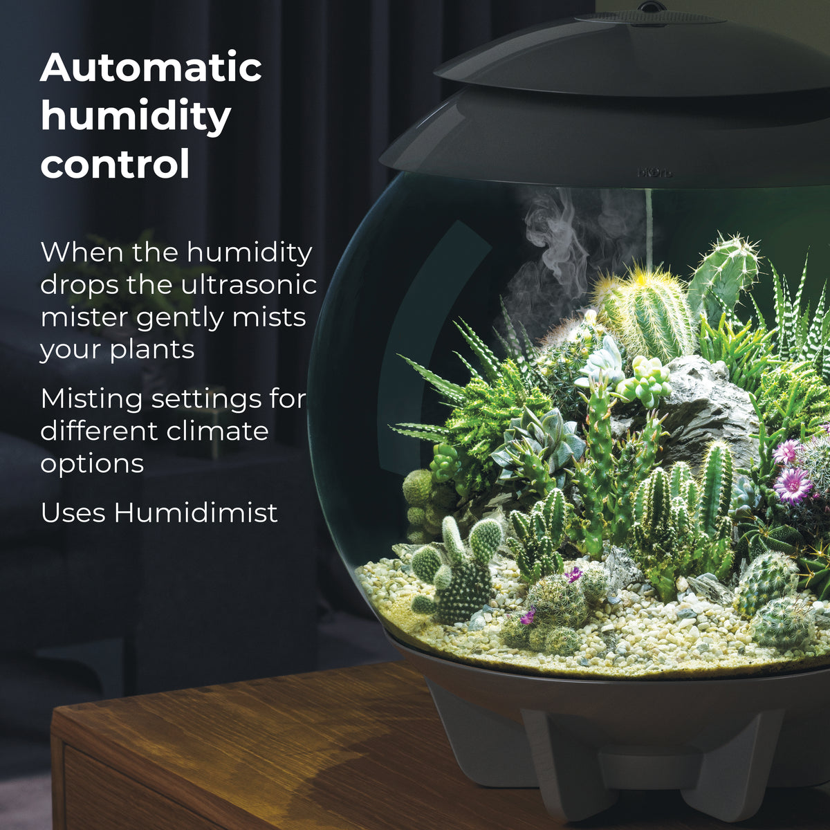Air 30 Terrarium for Vibrant Plant Life | biOrb US