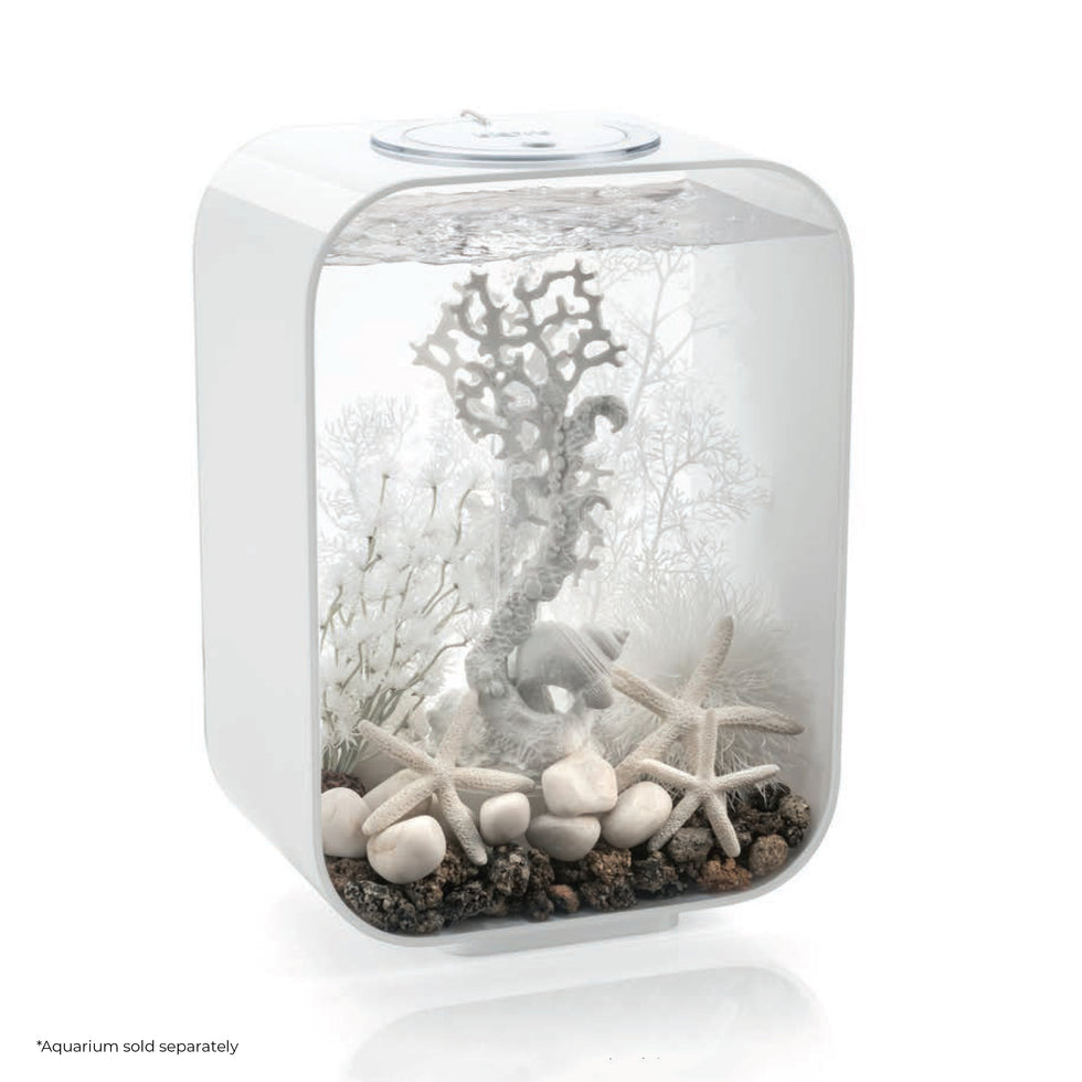Aquarium Decor Sets to Enhance Your Tank | biOrb US