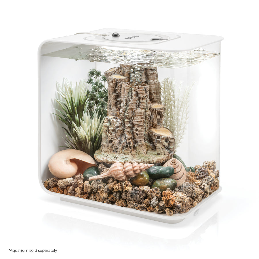 Aquarium Decor Sets to Enhance Your Tank | biOrb US
