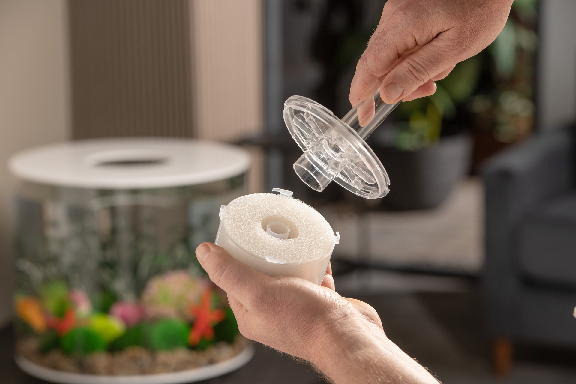 Aquarium Tips for Beginners and Experts | biOrb US