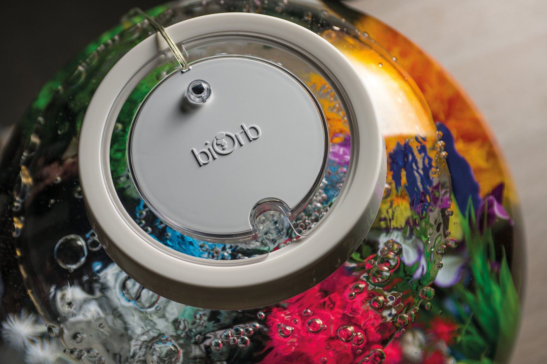 Aquarium Accessories for Every Tank | biOrb US – biOrb [US]