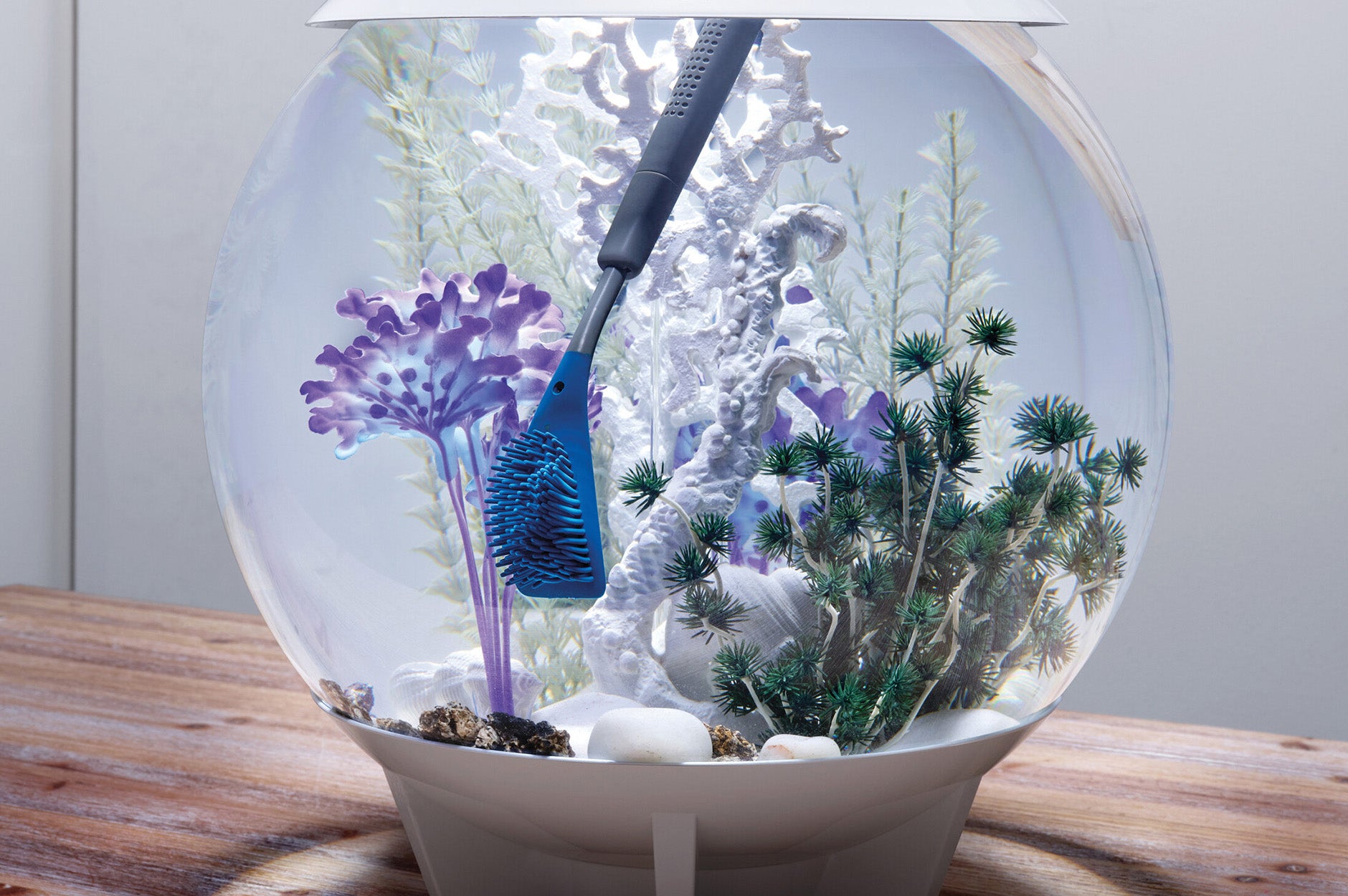 Aquarium Accessories for Every Tank | biOrb US – biOrb [US]