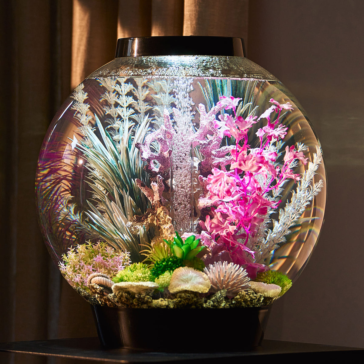CLASSIC 30 - Rose Lit Reef – biOrb