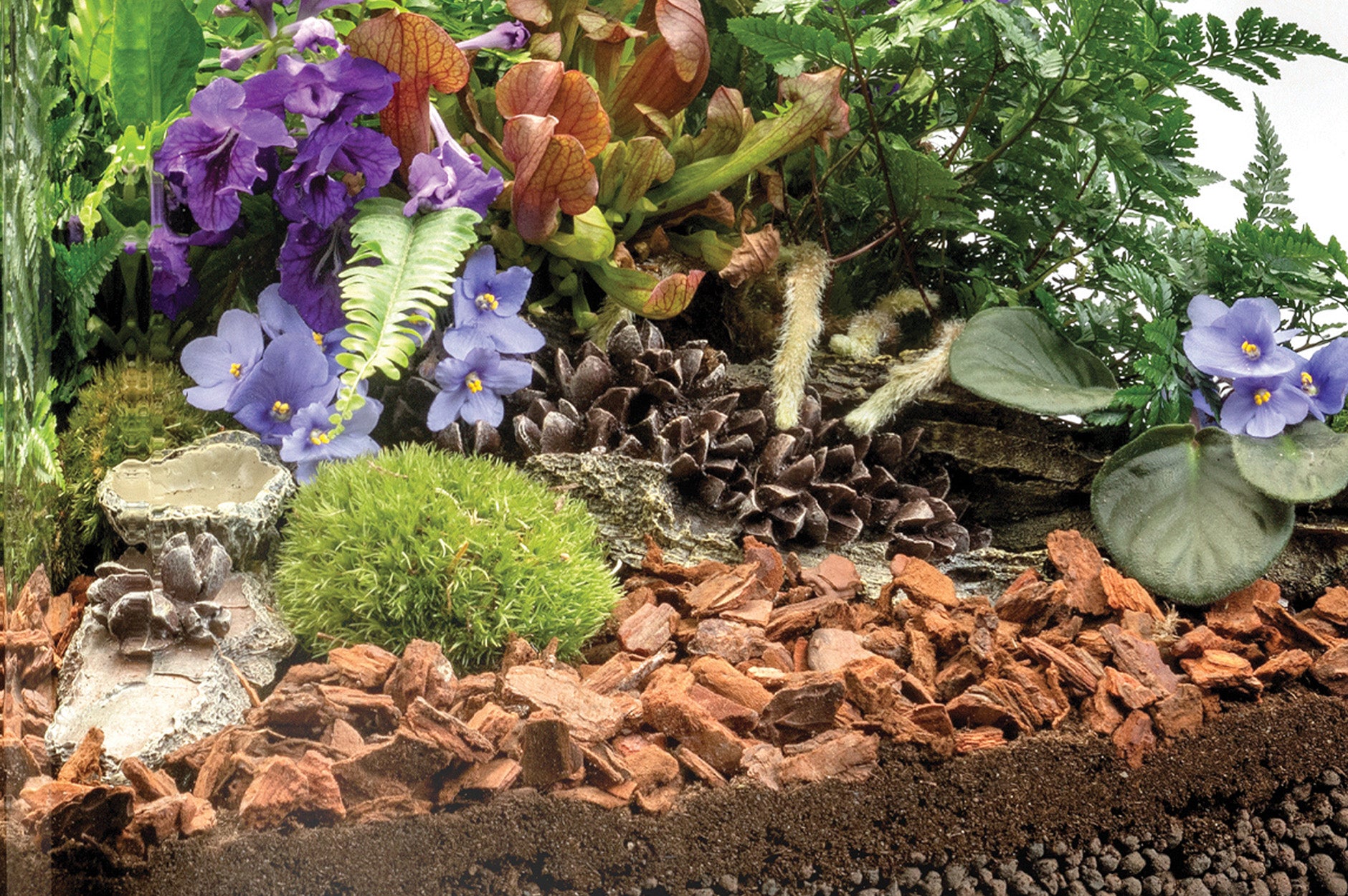 Vivarium Accessories – biOrb