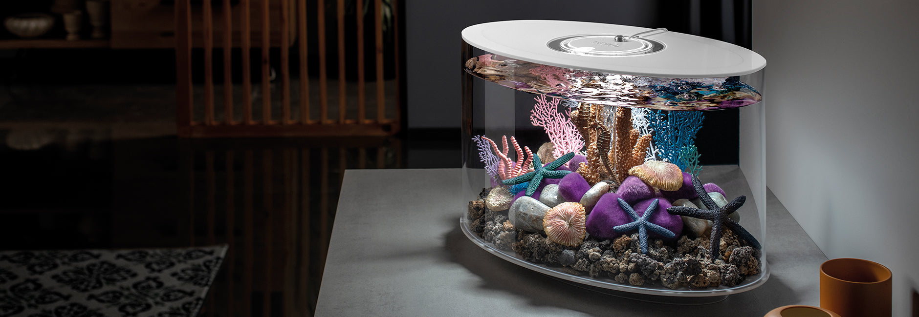 Loop Aquariums for Unique Aquatic Experiences | biOrb US – biOrb [US]