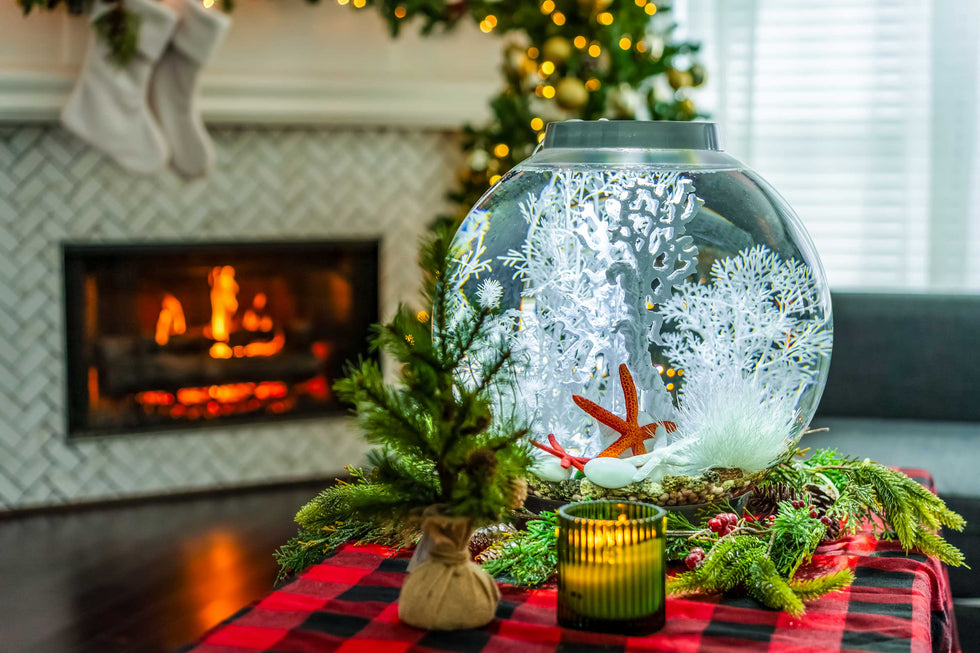 Stylish biOrb Aquariums and Accessories for Your Home | biOrb US