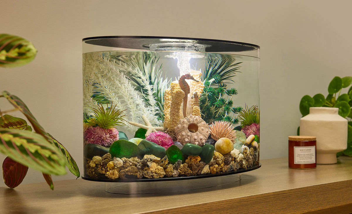 Innovative Aquariums and Terrariums for Your Home | biOrb US