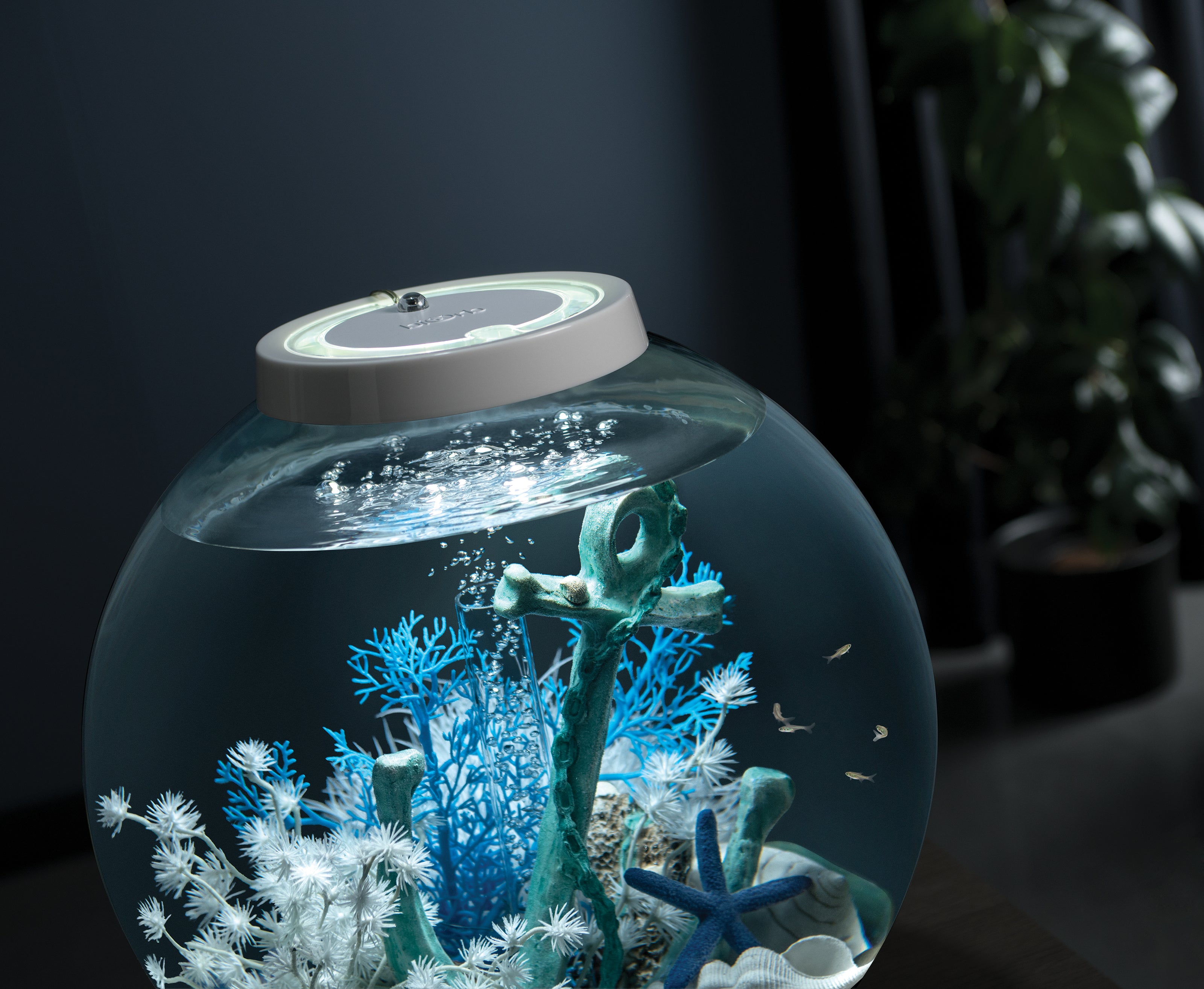 Aquarium Sculptures and Decor for Your Tank | biOrb US