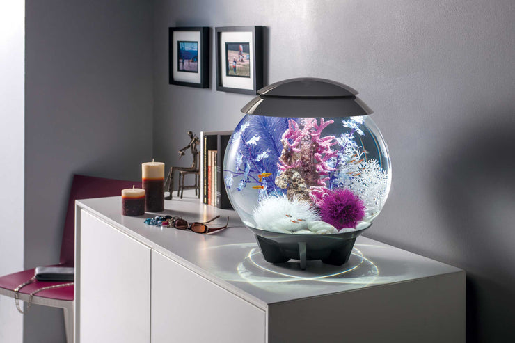 Aquarium Decor Sets to Enhance Your Tank | biOrb US