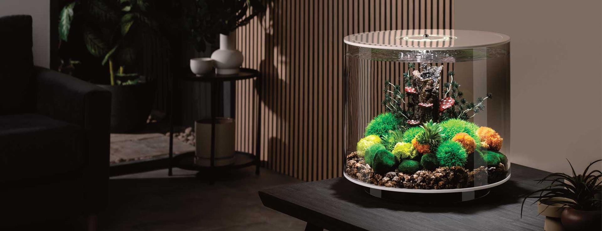 Tube Aquariums for Unique Aquatic Displays | biOrb US