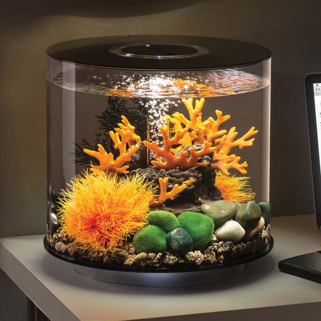 Aquariums – biOrb
