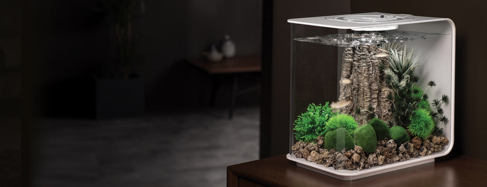 biOrb Flow Aquariums for Every Home | biOrb US