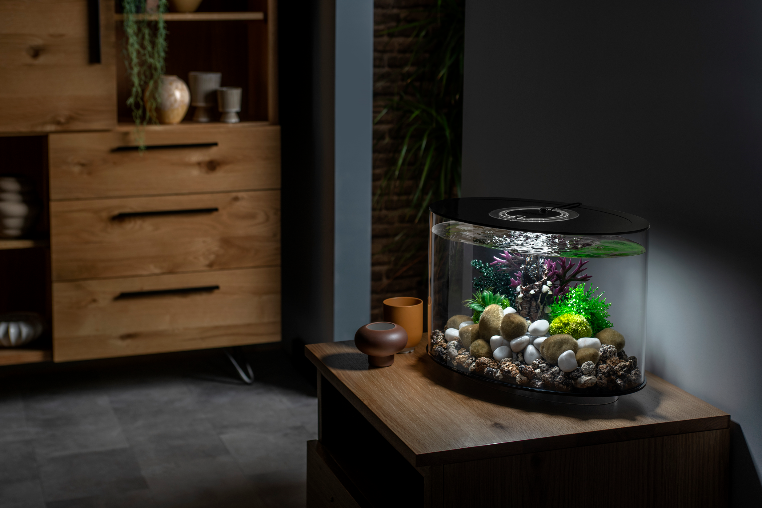 Loop Aquariums for Unique Aquatic Experiences | biOrb US