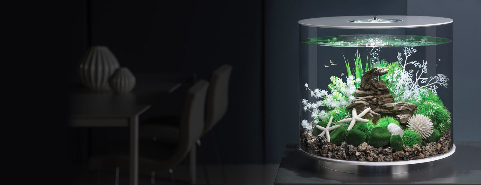 Tube Aquariums for Unique Aquatic Displays | biOrb US – biOrb [US]